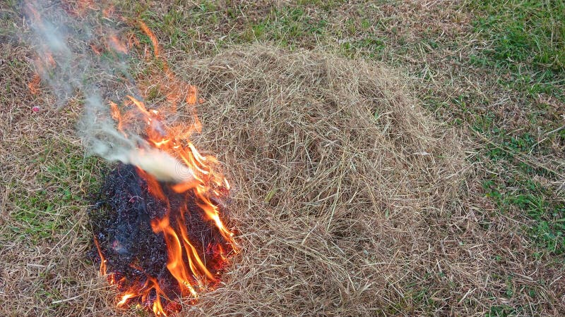 The Burning Fire Burned the Dry Grass Stock Photo - Image of grass ...