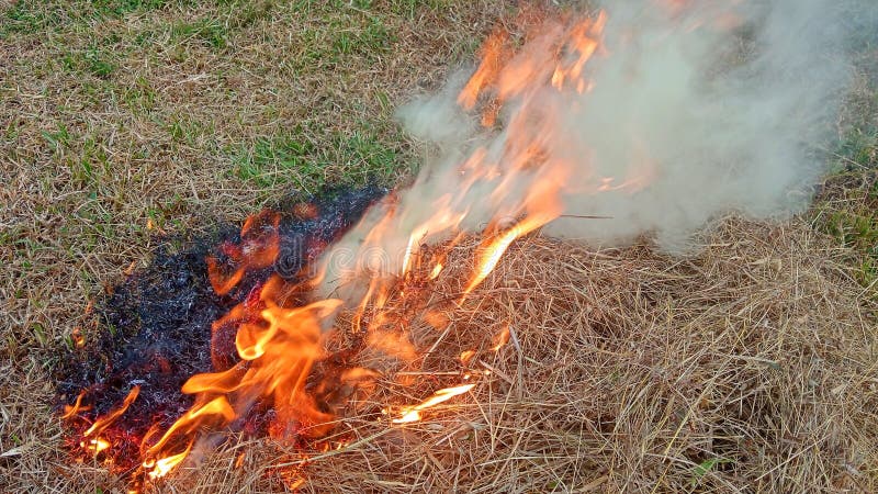 The Burning Fire Burned the Dry Grass Stock Photo - Image of fire ...