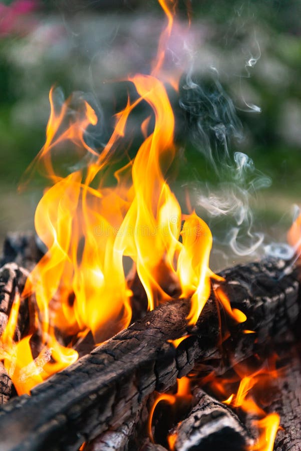 Burning fire stock photo. Image of warm, flammable, heat - 158693854