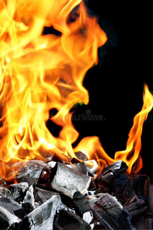 Burning fire and charcoal stock image. Image of flammable - 5428509