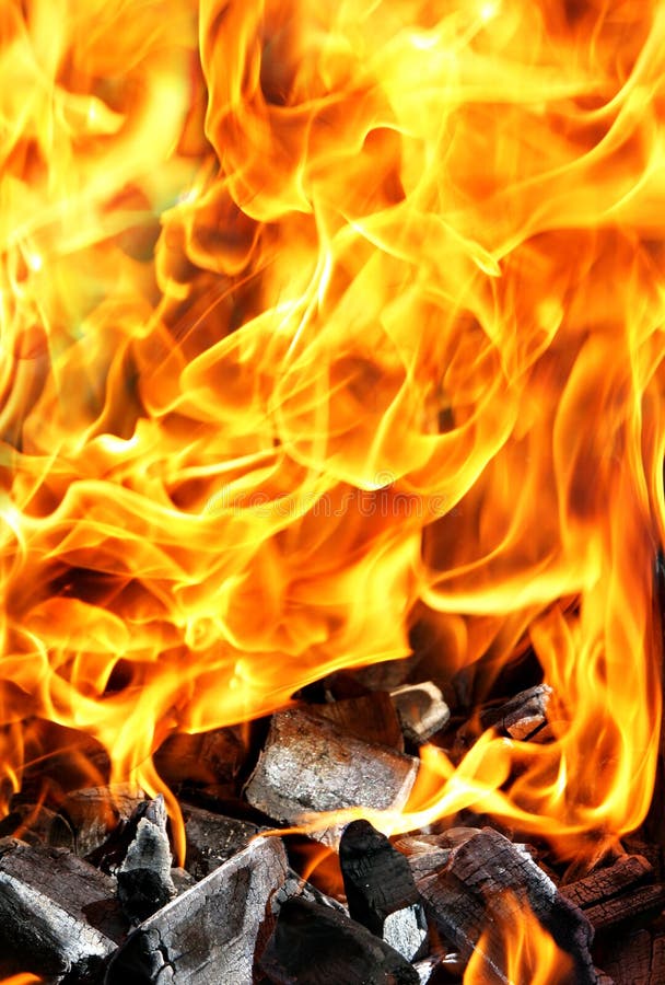 Burning fire and charcoal stock image. Image of charcoal - 5495177