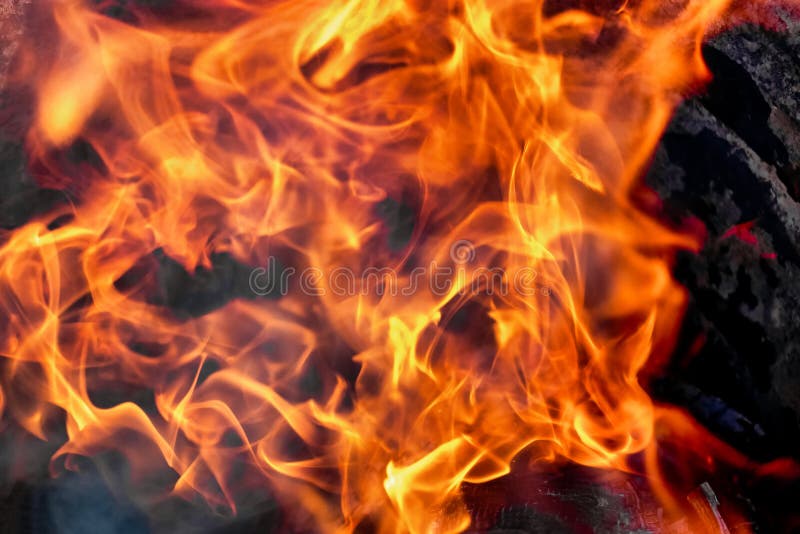 Burning Fire Close Up. Bright Orange and Red Flames on a Dark ...