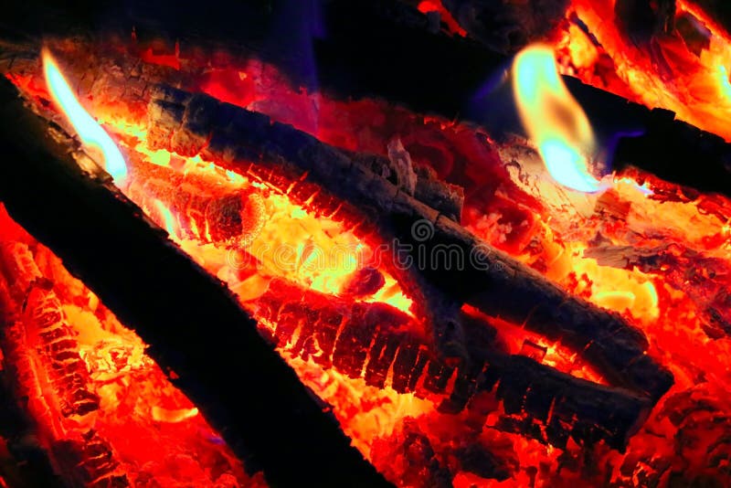Burning Fire.Closeup. Bonfire, Burning Trees Logs. Red, Orange Fire ...