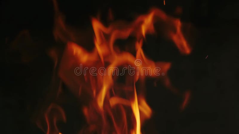 Burning Fire Flame on Dark Background Stock Video - Video of burned ...
