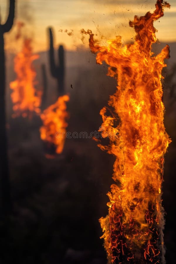 A Burning Fire in a Desert Landscape with Sand and Rocks Stock Image ...