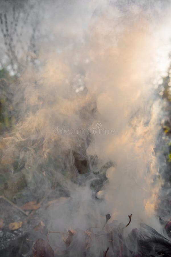 Burning Fire of Dried Leaves. Flames and Smoke from Burning Leaves ...
