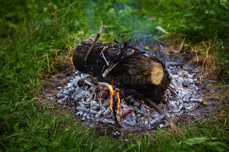 Burning Fire in the Evening, Summer Beautiful Warm Evening. the Process ...