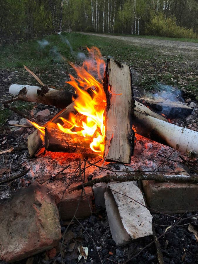 Burning Fire, Burning Firewood, Bonfire and Flames Stock Photo - Image ...