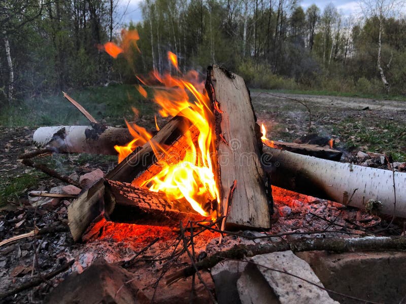 Burning Fire, Burning Firewood, Bonfire and Flames Stock Photo - Image ...