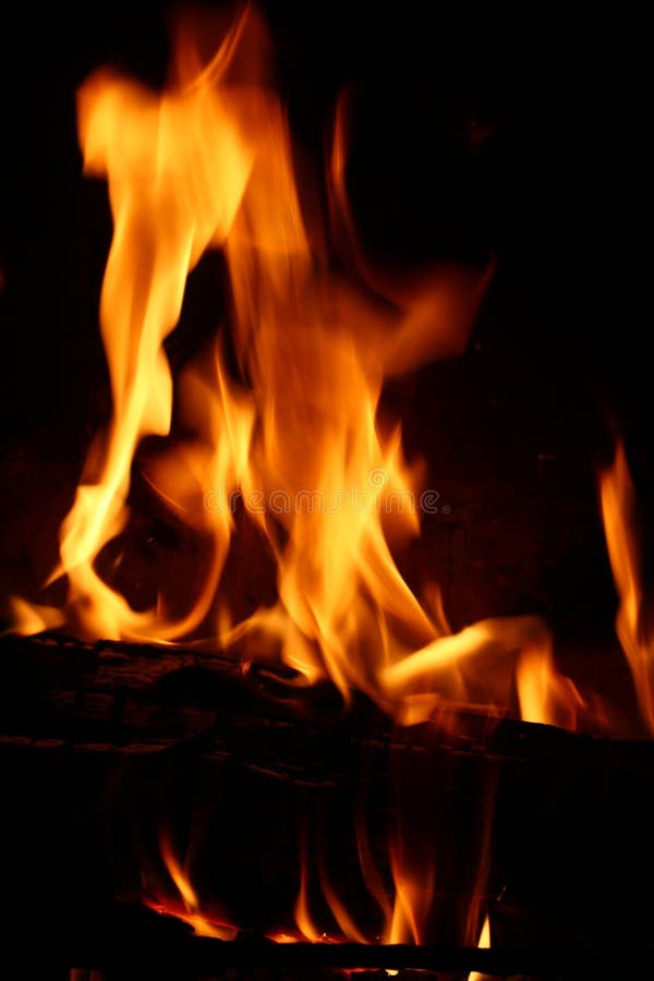 Burning fire stock photo. Image of glowing, abundance - 64040868