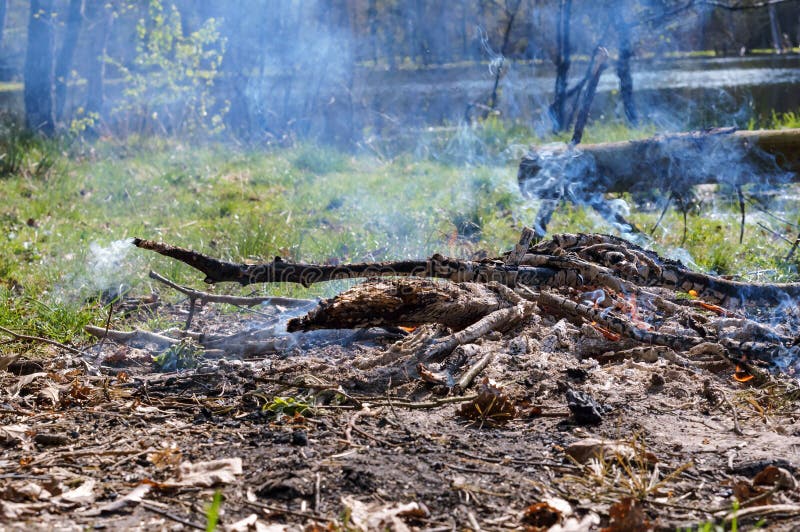 A Burning Fire in the Forest, the Remains of Burnt Wood Stock Image ...