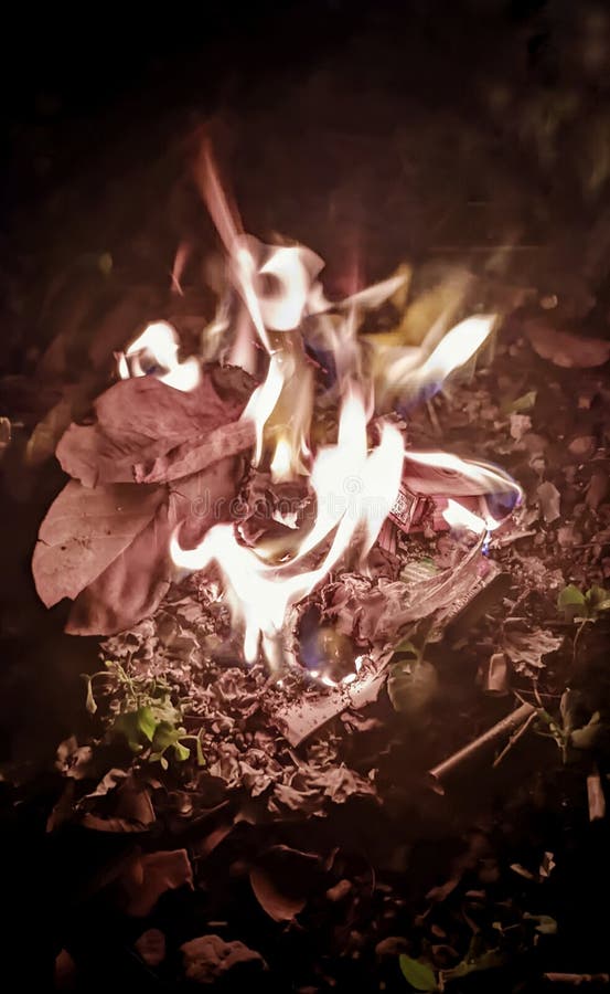 A Burning Fire that is Burning Leaf Litter Stock Image - Image of night ...