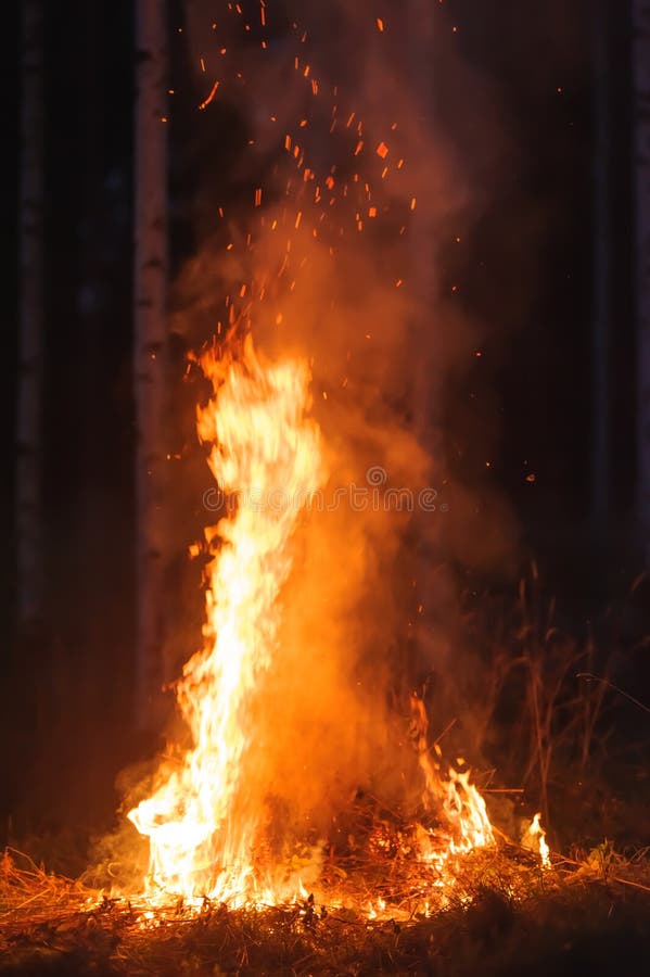 Burning fire in the night. stock photo. Image of heat - 115669340