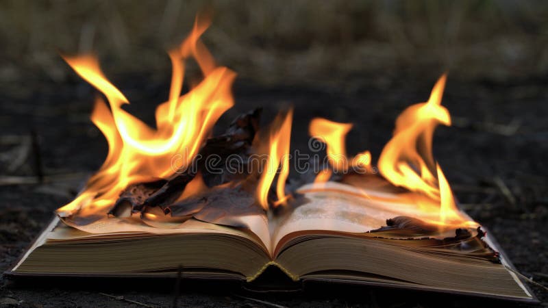 Burning in Fire Old Open Book on the Ground Stock Image - Image of fire ...
