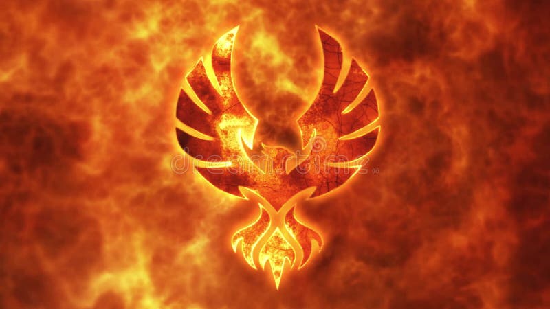 Burning Fire Phoenix Loop - Intro Logo Wallpaper Background Stock Video ...
