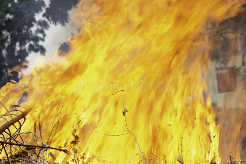 A Burning Fire on a Pile of Firewood Stock Image - Image of flame, wood ...