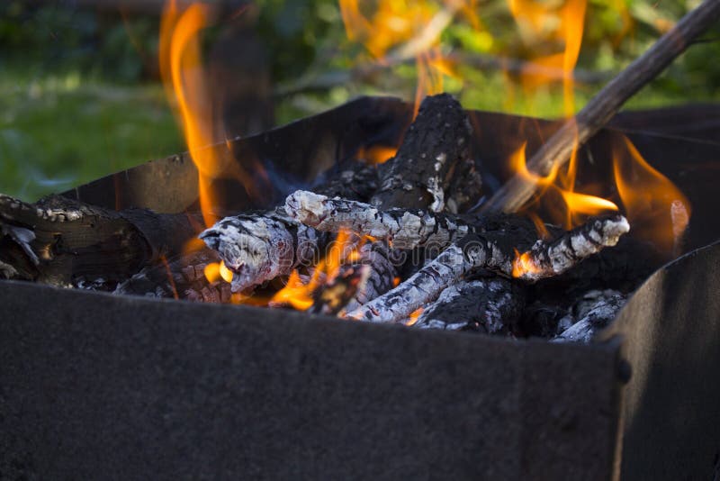 Burning Fire for Roasting Meat Stock Photo - Image of flame, fire ...