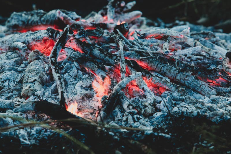 Burning Fire with Small Flames Stock Photo - Image of campfire ...
