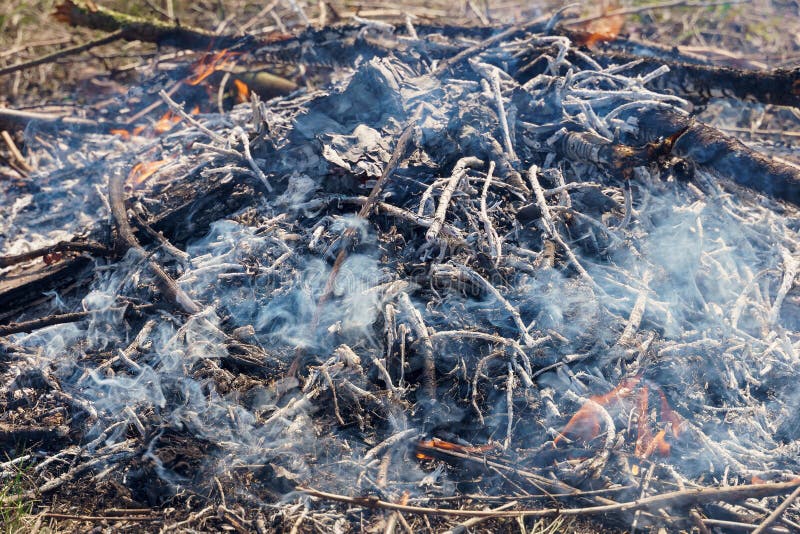 Burning fire with smoke stock image. Image of heap, branch - 145796207