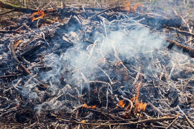 Burning fire with smoke stock photo. Image of outdoors - 145796242