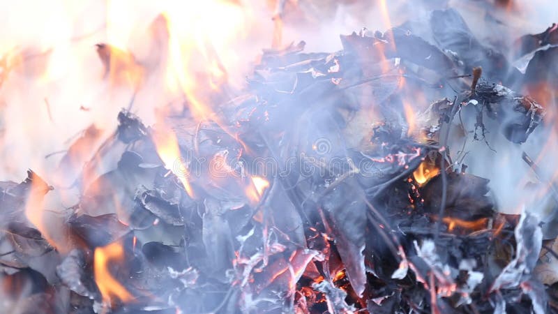 Burning fire and smoke stock video. Video of danger, motion - 65743395