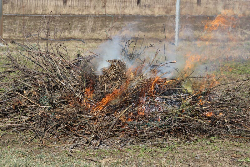 Burning a Fire in Suburban Areas is Dangerous, Spring Cleaning of the ...
