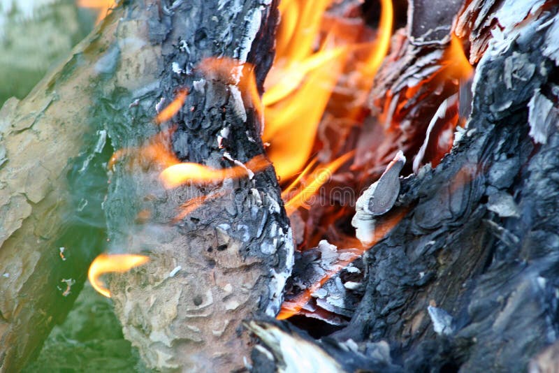 Burning Fire on a Summer Day Stock Photo - Image of flammable, heat ...