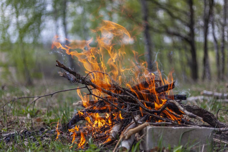 Burning Fire on a Summer Day. Kaluga Stock Photo - Image of camp, grass ...