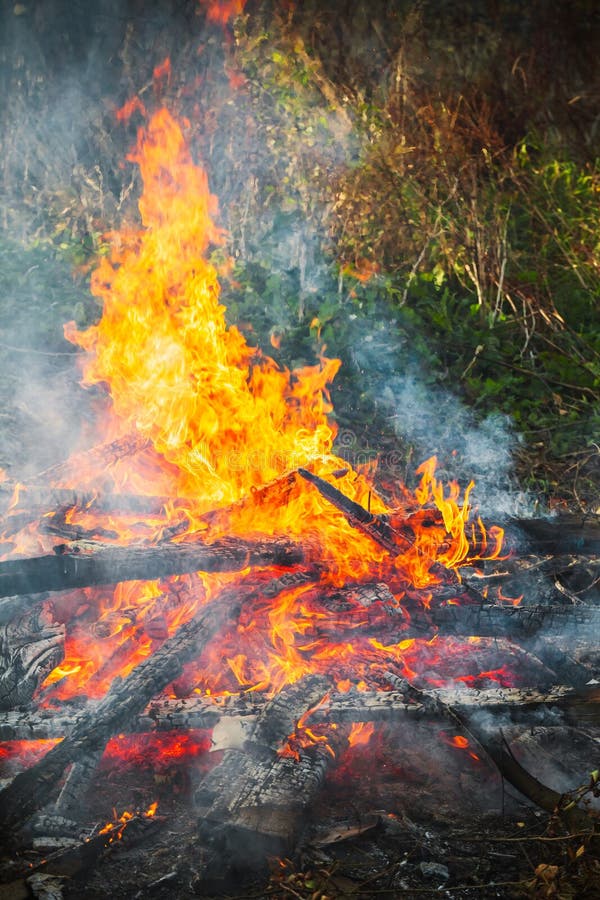Burning Firewood in Big Bonfire Stock Photo - Image of closeup, orange ...
