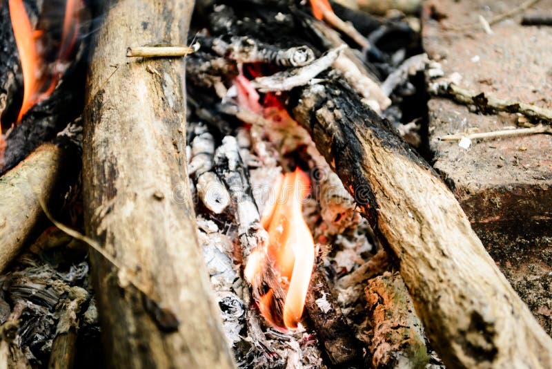 Burning Firewood. Bonfire. Fire, Ashes. Stock Image - Image of flame ...