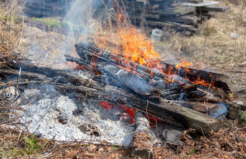 Burning Firewood in a Campfire Close-up. Stock Photo - Image of coal ...
