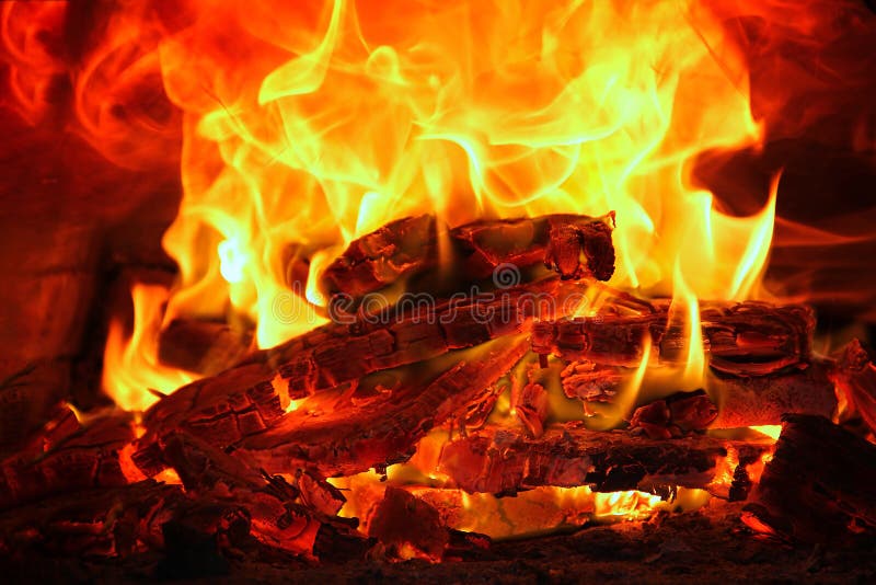 Burning firewood stock photo. Image of ablaze, flaming - 236915346