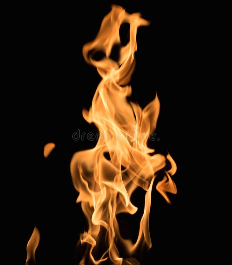 Burning Flame Colored Flamingo Stock Photo - Image of abstract, burning ...