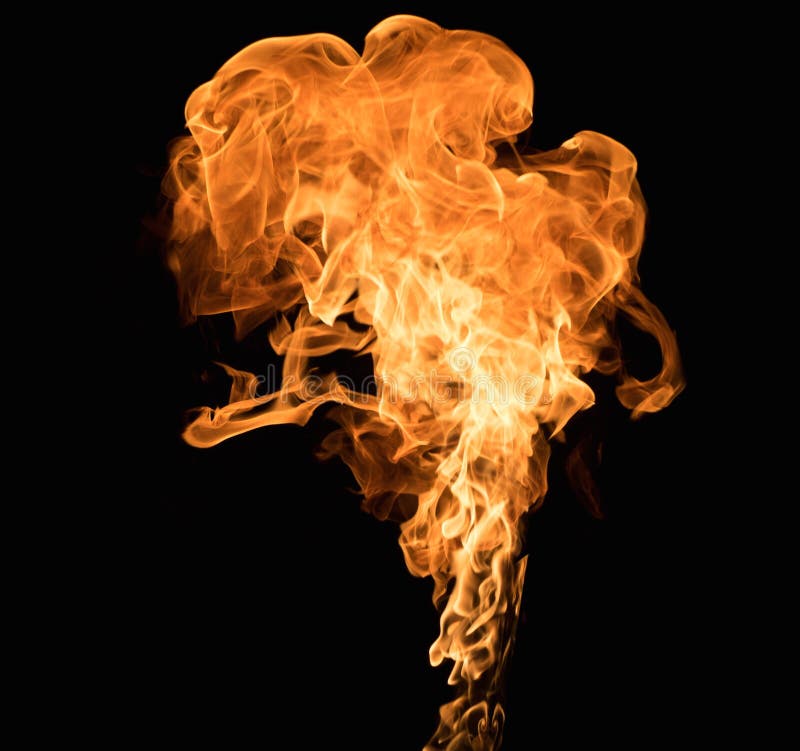 Burning Flame Colored Flamingo Stock Photo - Image of abstract, burning ...