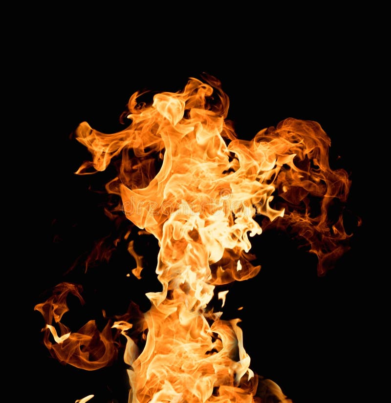 Burning Flame Colored Flamingo Stock Photo - Image of abstract, burning ...