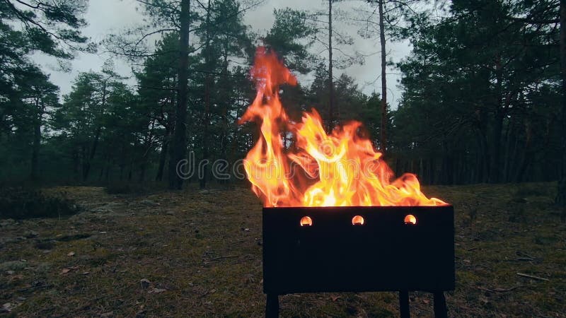 On the Fire is a Brazier with Boiling Water and Vegetables. Stock ...