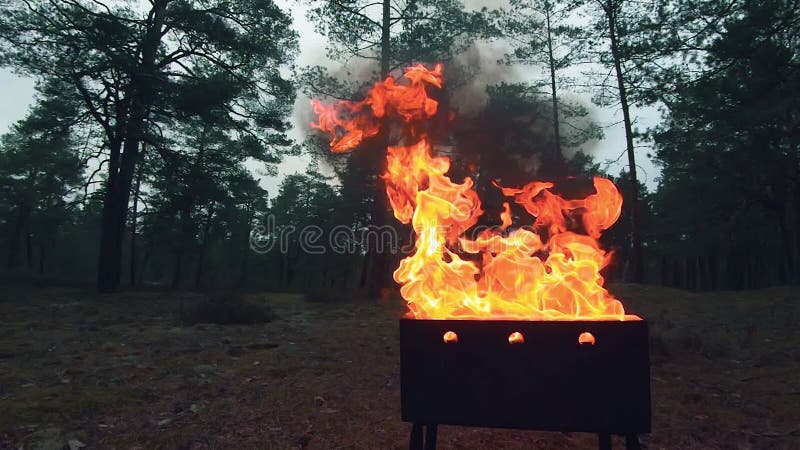 On the Fire is a Brazier with Boiling Water and Vegetables. Stock ...