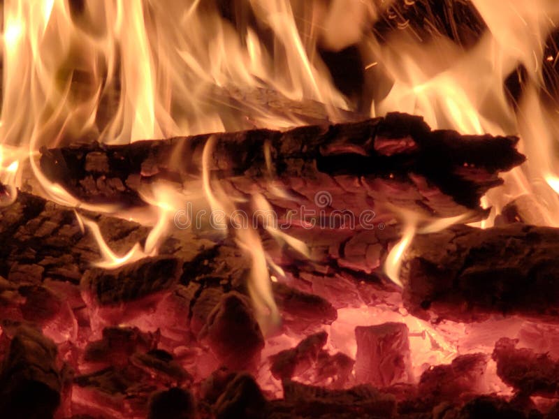 Burning Flame Colored Flamingo Stock Photo - Image of abstract, burning ...