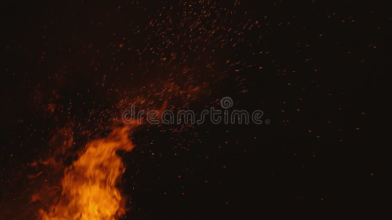 Fire Flames on a Black Background. Blaze Fire Flame Texture Back Stock ...