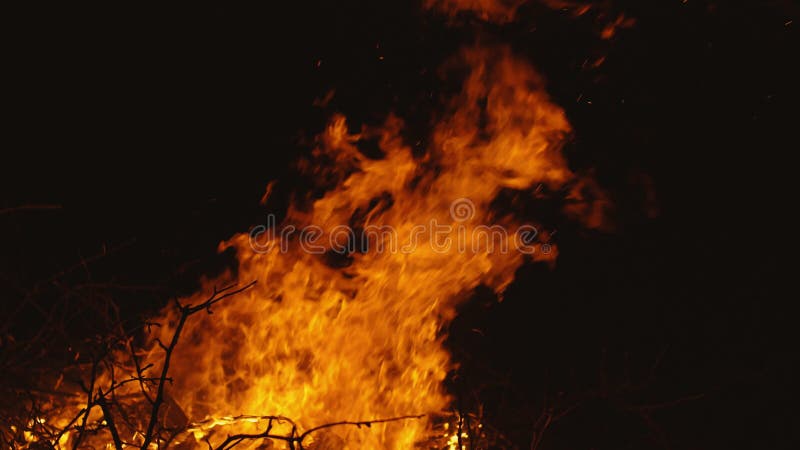 Fire Flames on a Black Background. Blaze Fire Flame Texture Back Stock ...
