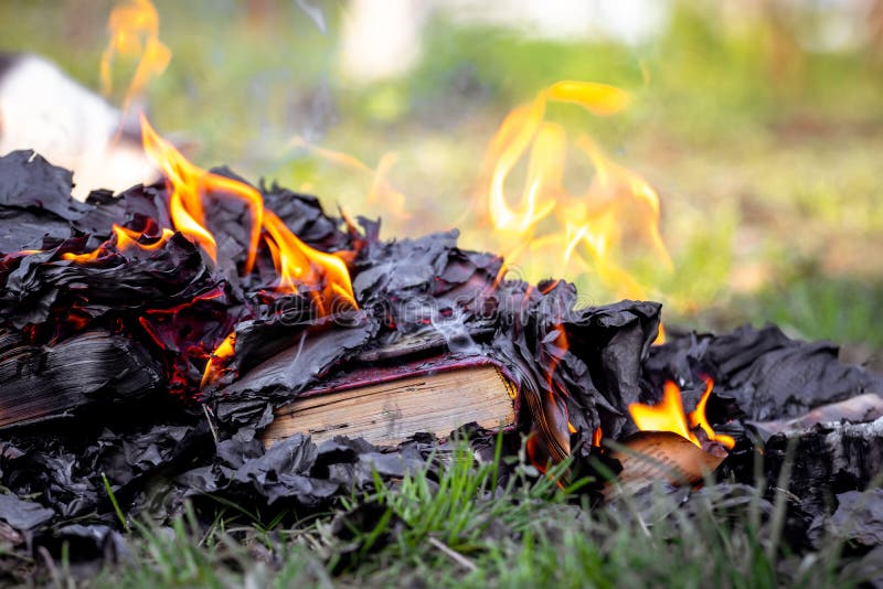 Literature Books on a Shelf Stock Image - Image of colores, lectura ...