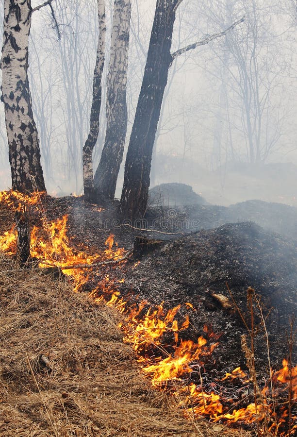 Bush Fire - the Red Centre, Australia Stock Image - Image of burning ...