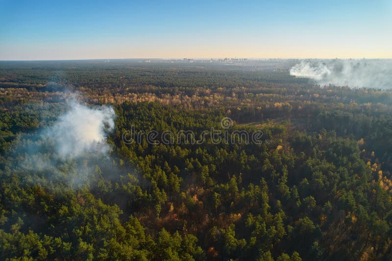 Burning Forest with Fire and Smoke. Aerial Top View from Drone Stock ...