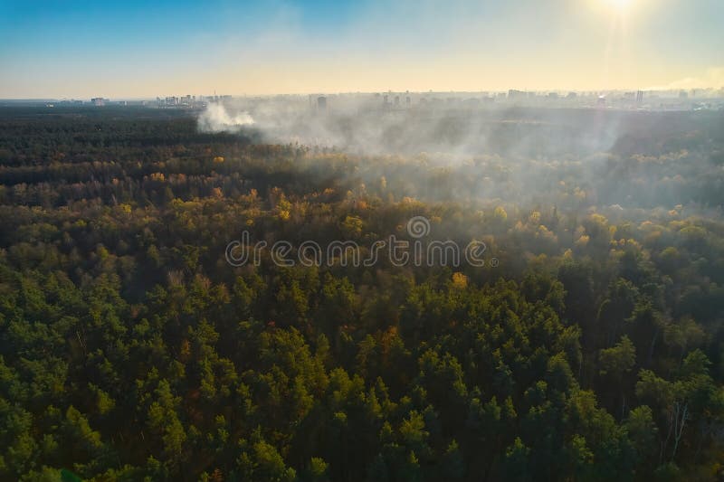 Burning Forest with Fire and Smoke. Aerial Top View from Drone Stock ...