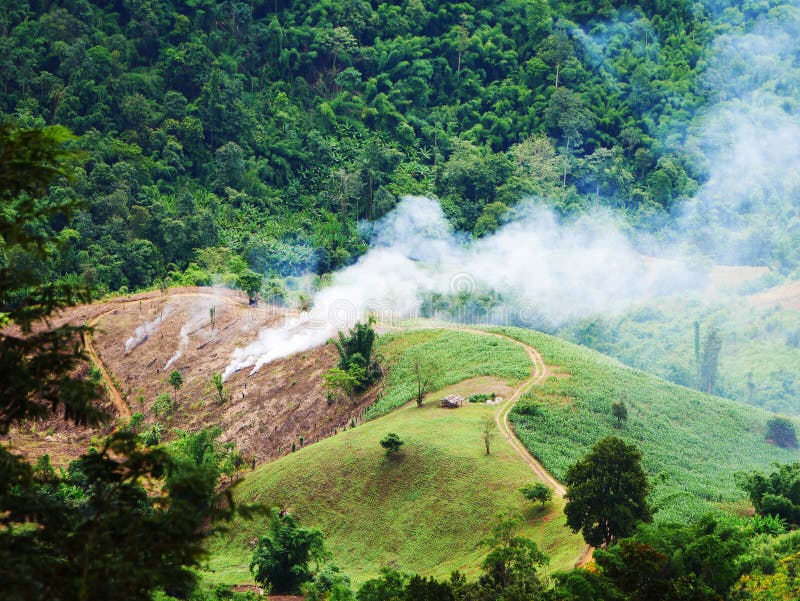 Burning Forests, Encroaching on Forest Areas, View from the Top of the ...