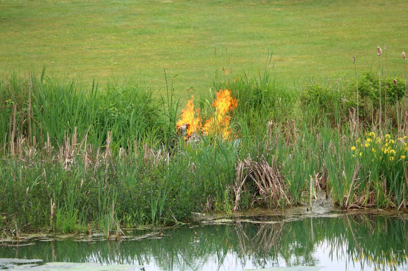 Burning Garbage Behavior stock image. Image of dirt - 281416497