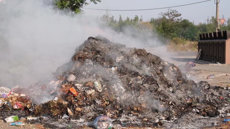 Burning Garbage in the Backyard Stock Video - Video of globe, forest ...