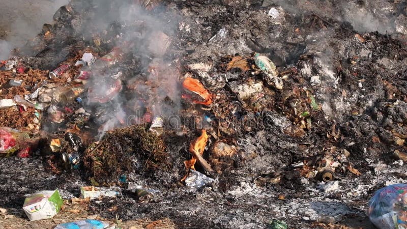 Burning Garbage in the Backyard Stock Video - Video of globe, forest ...