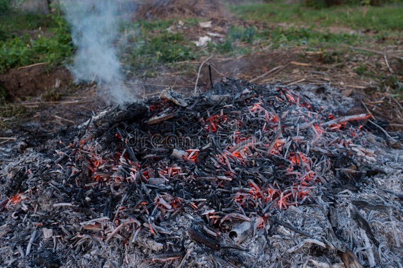 Burning Garbage, Littering the Environment, Burning Cans Stock Image ...