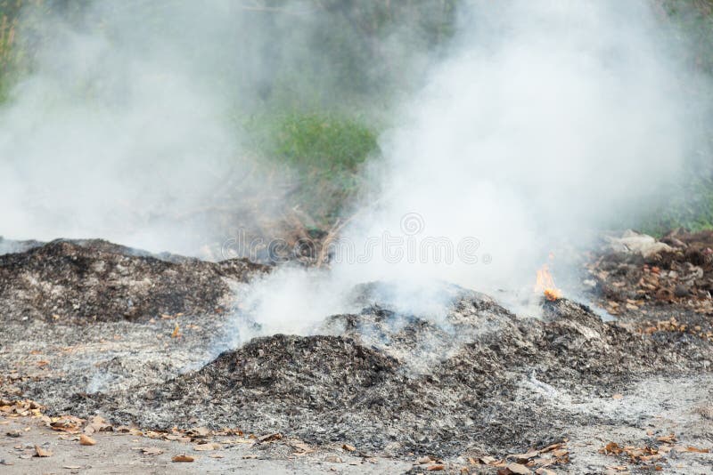 Burning waste pollution stock photo. Image of environment - 84632716